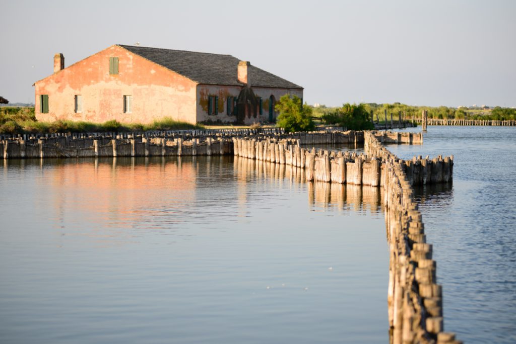Emilia-Romagna for kids: Comacchio e Ravenna